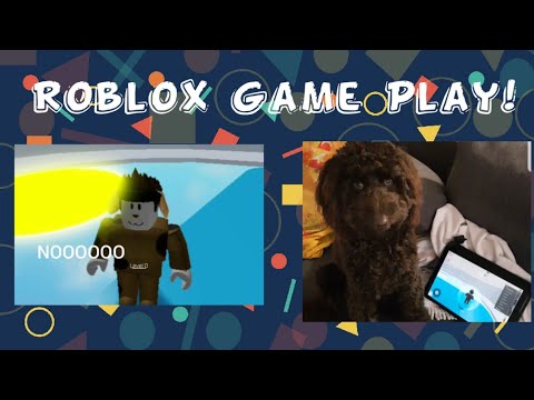 Sunny Plays Roblox! (Roblox Gameplay) - YouTube