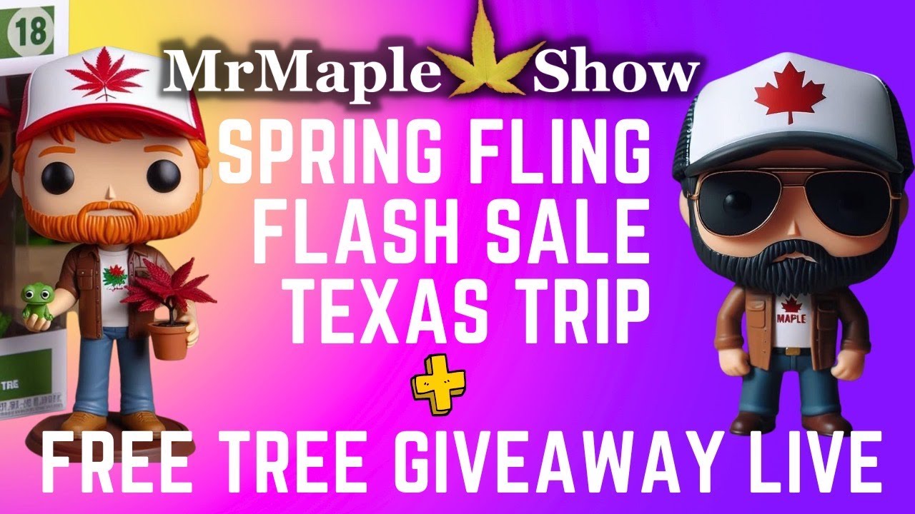Free ‘Mayday’ Japanese Maple Tree Giveaway + Spring Fling Open House ...