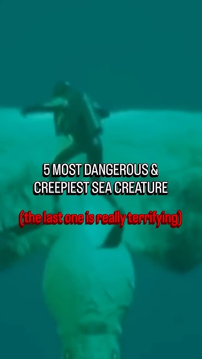 5 Scariest Sea Creatures Lurking in the Deep #CreepyFacts #OceanMysteries #SeaCreatures # ...