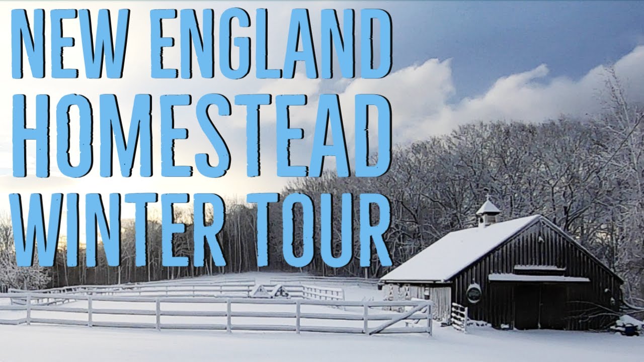 New England Homestead Winter Tour Vlog 50 - YouTube