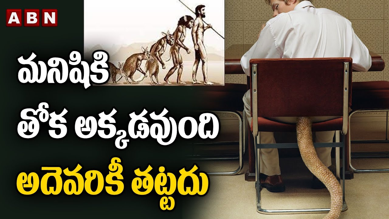 Human Tail: మనిషికి తోక అక్కడవుంది -అదెవరికీ తట్టదు | ABN Digital - YouTube