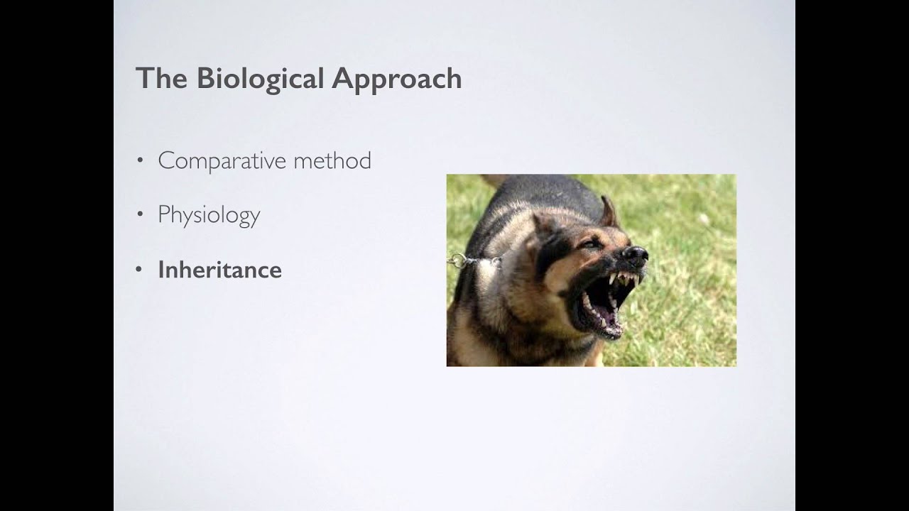 The Biological Approach - YouTube