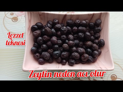 ZEYTİN NEDEN ACI OLUR/ SALAMURA SİYAH ZEYTİN NASIL TATLANDIRILIR/ ZEYTİNİN ACISI NASIL ÇIKAR