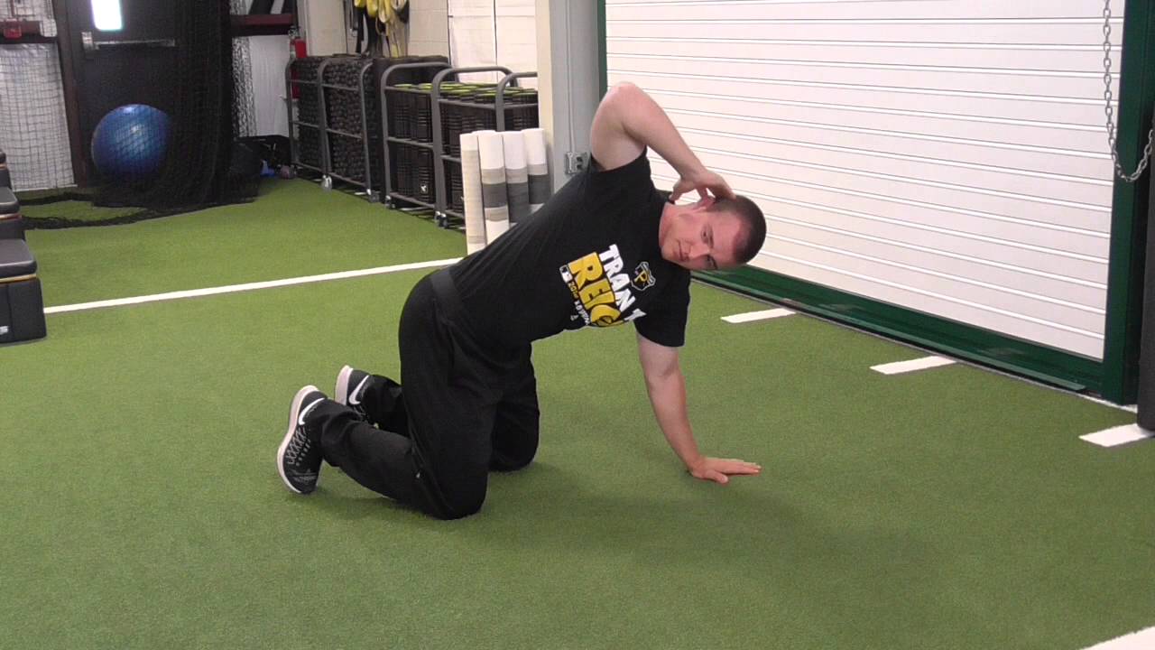 Quadruped Thoracic Rotation - YouTube