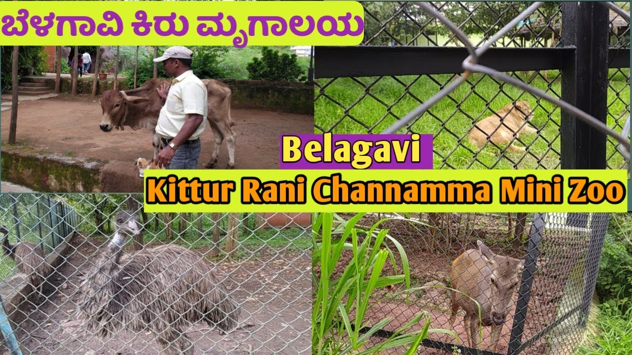 Belagavi | Kittur Rani Channamma Mini Zoo | Bhutaramanahatti Zoo Belagavi | Belgaum Zoo Park ...