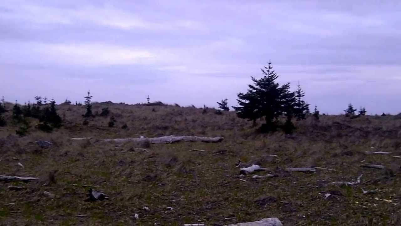 tlell river - YouTube