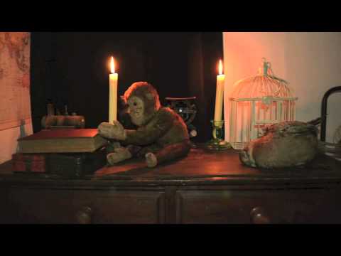 Monkey Stop Motion - YouTube