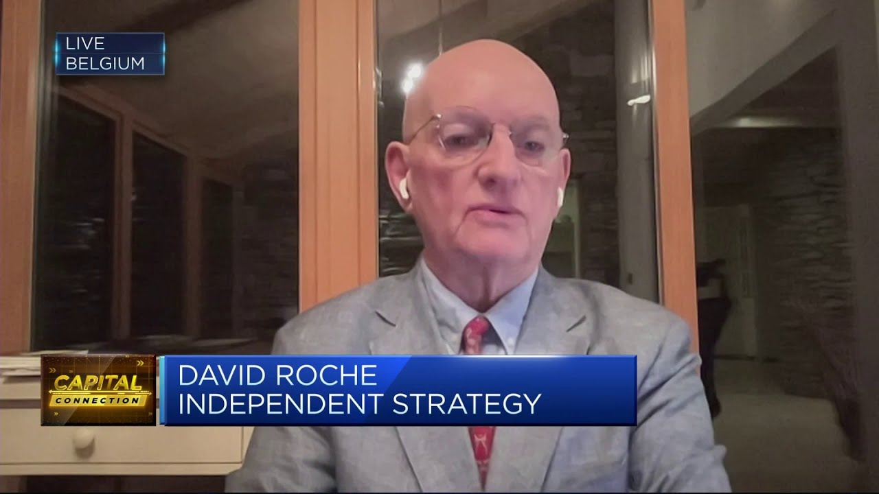 David Roche says a 'fault' of the European Central Bank is that it ...