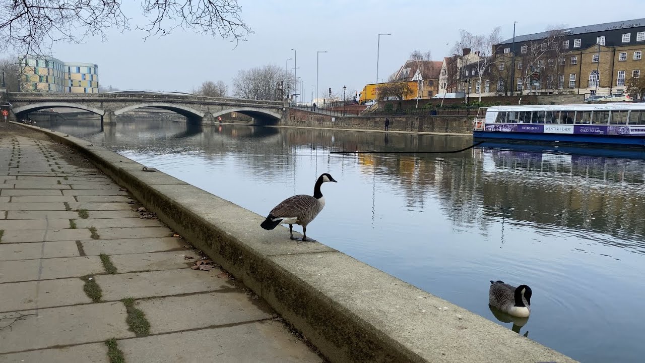 MAIDSTONE WALK | Empty Fremlin Walk, Crown Court, Archbishop’s Palace ...