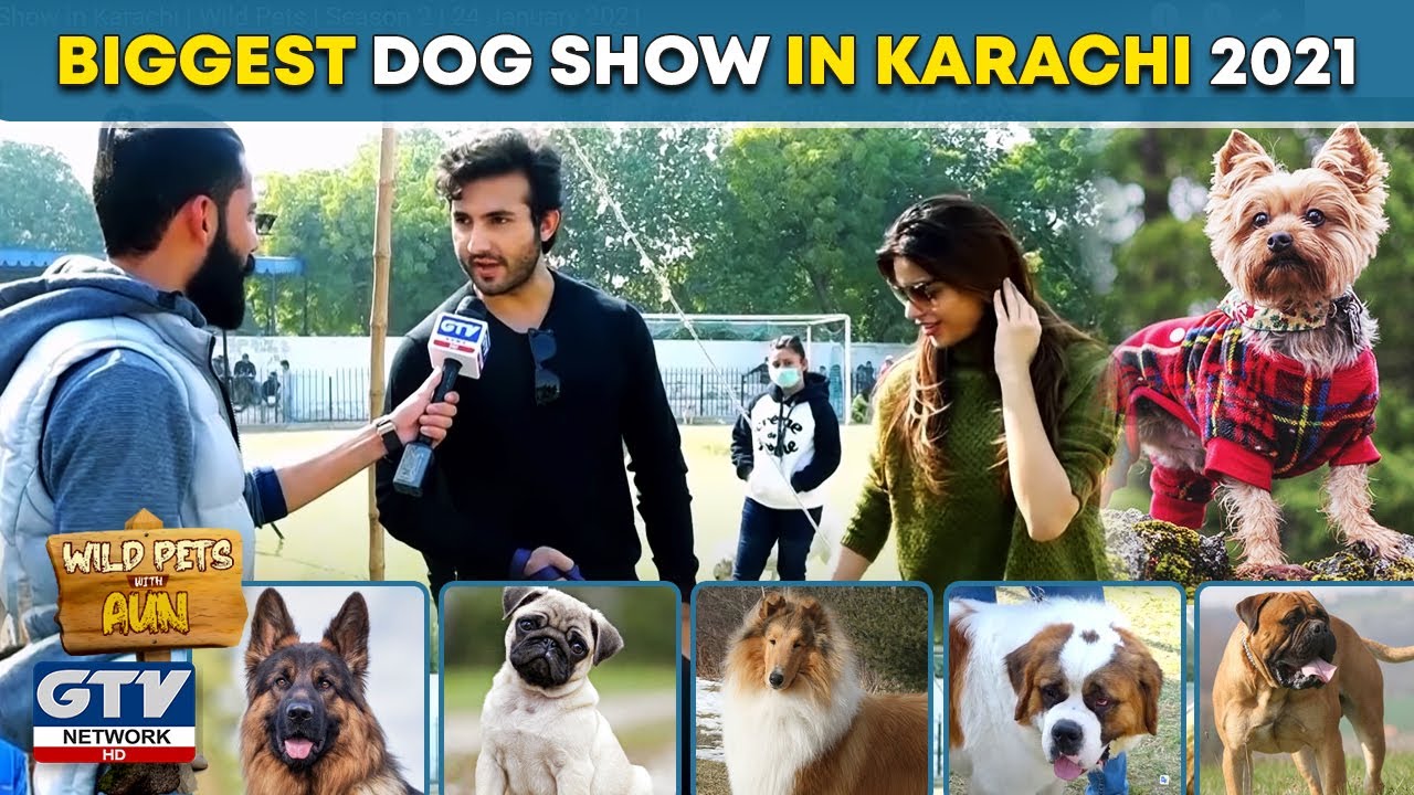 Biggest Dog Show in Karachi | Wild Pets | Season 2 | 24 January 2021 ...