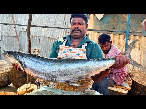 BIG SEER VANJARAM FISH CUTTING BY SPEED SELVAM | HD VIDEO | IN KASIMEDU ...