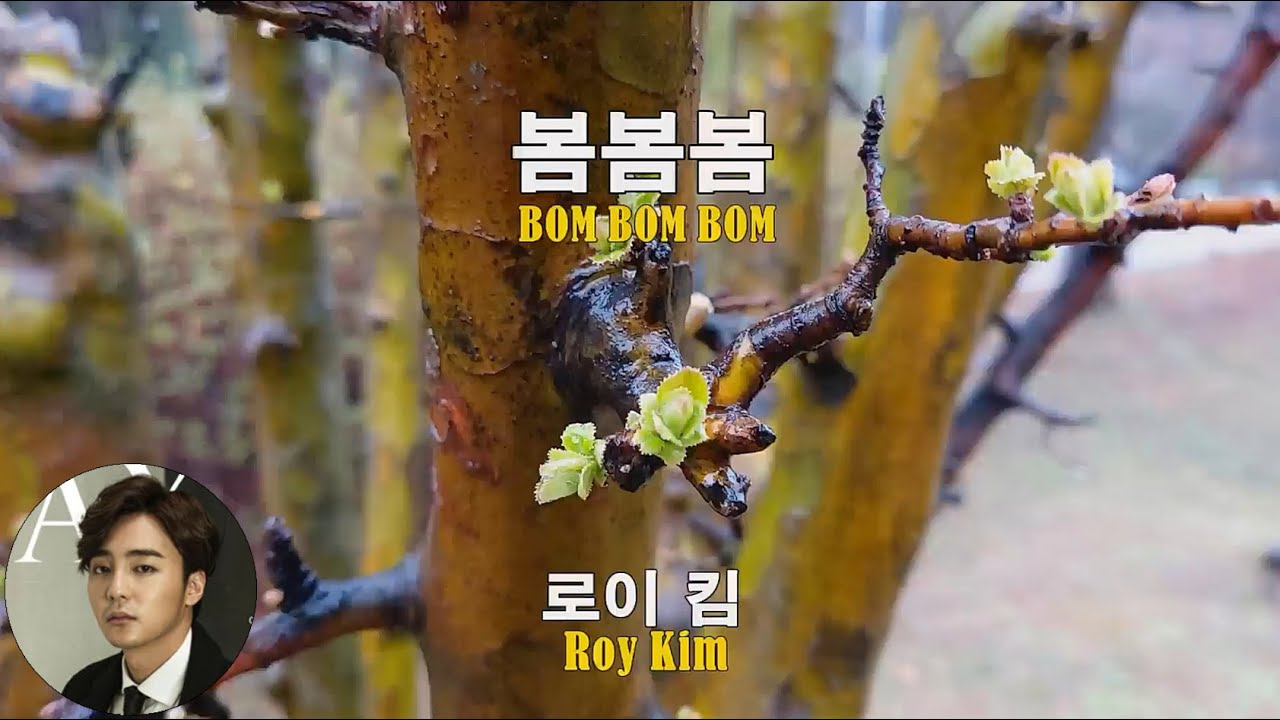 봄봄봄 - 로이 킴(BOM BOM BOM - Roy Kim)(2013) 가사lyrics - YouTube