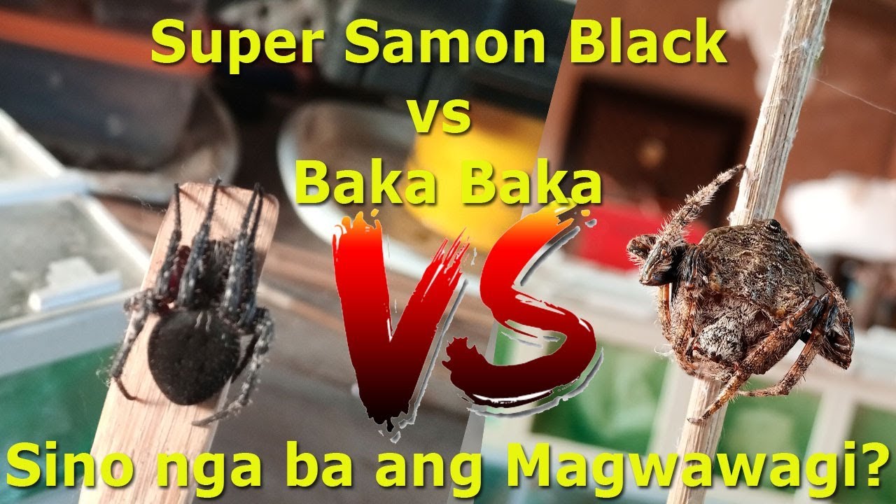 Super Samon Black vs Baka Baka - YouTube