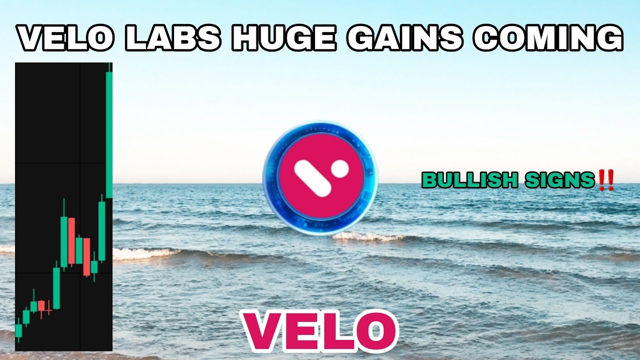 VELO COIN HUGE GAINS UPDATE IN 2024‼️ VELO LABS BULLISH SIGNS NOW‼️ ...