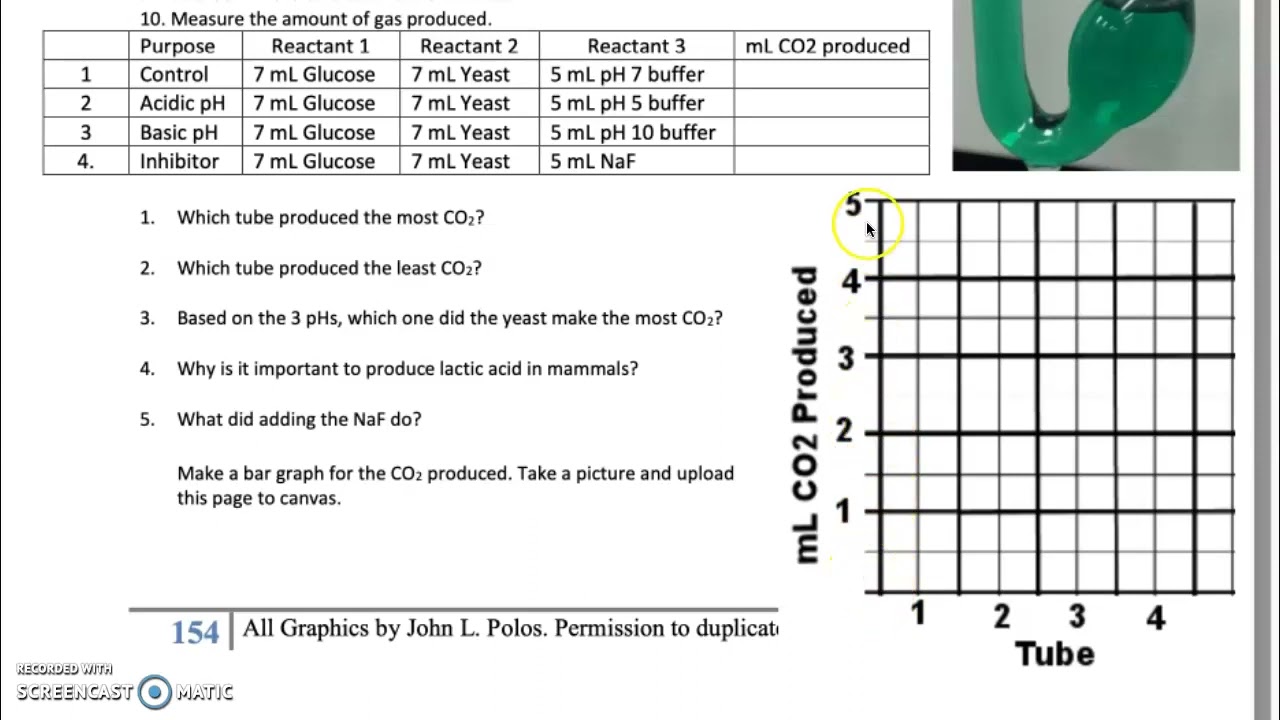 Fermentation Lab Graph On Mac YouTube Fermentation Lab Graph On Mac YouTube