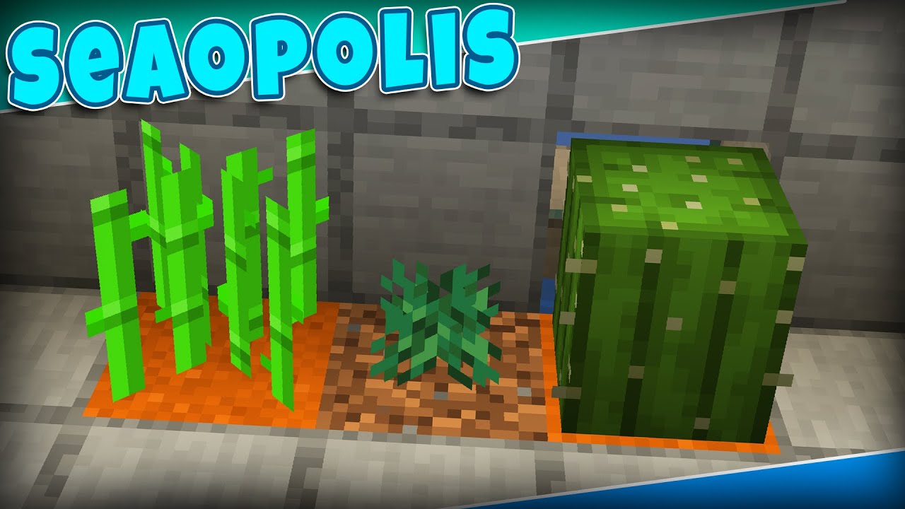 Seaopolis | Cool Plants and Some Sea Exploration! | [EP 12] - YouTube
