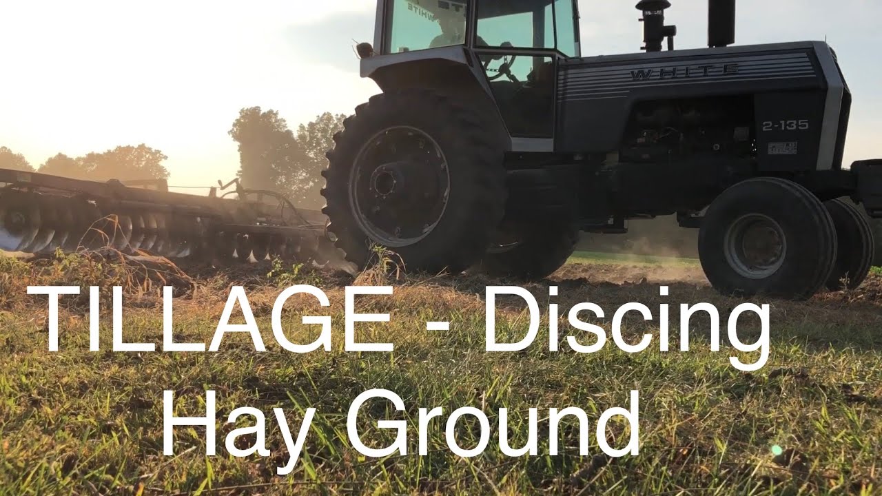 White 2-135 TILLAGE 2020–Discing Hay Ground - YouTube