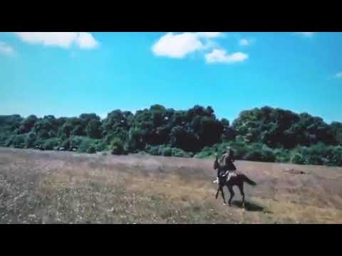 Ebru Şahin At Üstünde Şov Yaptı! Destan İçin Çalışmaları Sürdüren Ebru Şahin Sosyal Medyayı Salladı!