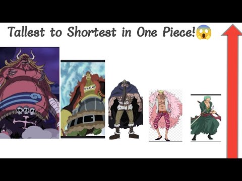 One Piece Characters Ranked by Height | Tallest to Shortest Explained ...