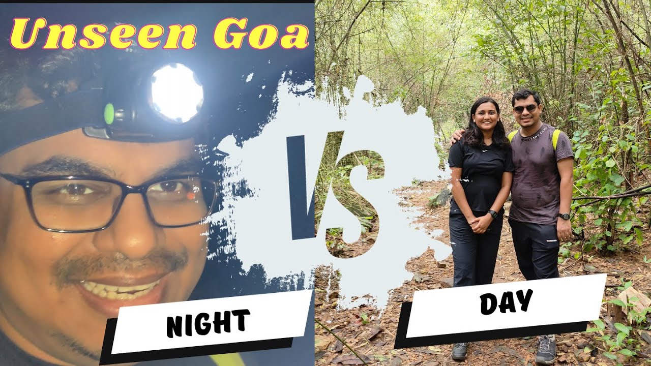 Goa Wale Jungles | Jungle stay at Natures Nest, Goa | Night Jungle ...