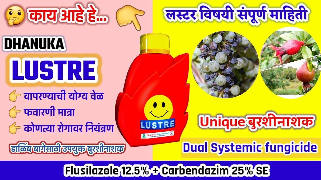 Lustre Fungicide || Lustre बुरशीनाशकाचे फायदे || फवारणी प्रमाण ...