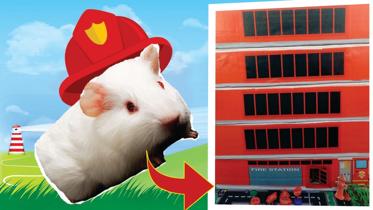 Hamster Fire Station Maze Firefighter escape 👩‍🚒 King of Hamsters - YouTube