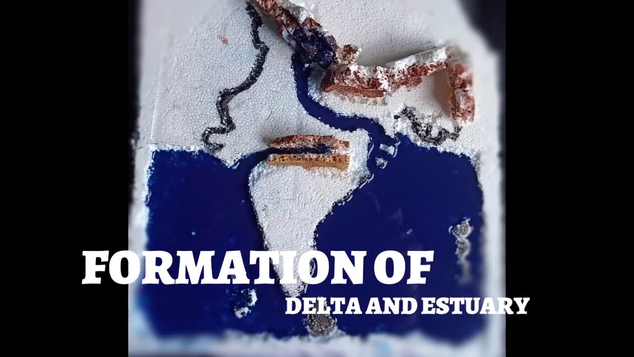 Know about Delta and Estuary in 2 minutes - YouTube