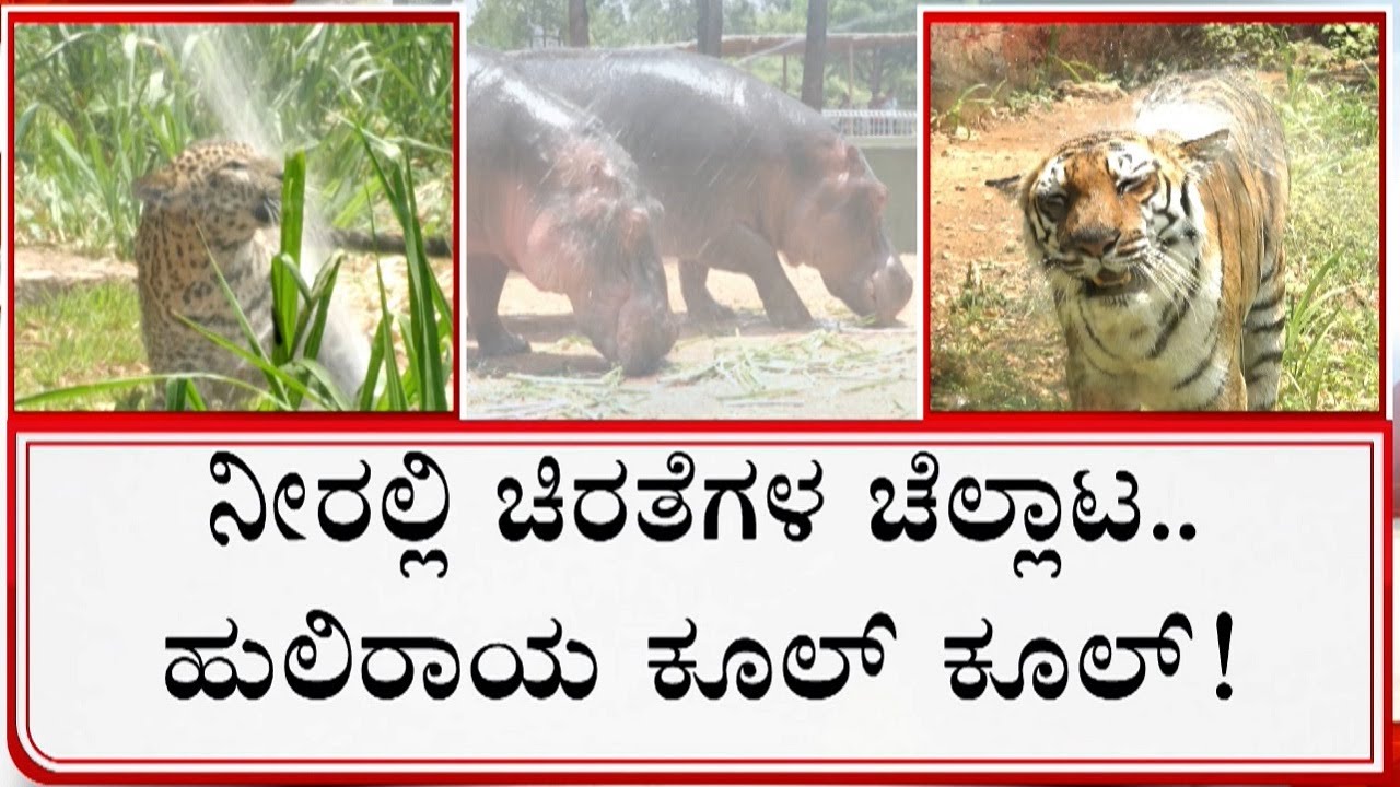 Sprinklers Installed At Atal Bihari Vajpayee Zoological Park To Keep ...