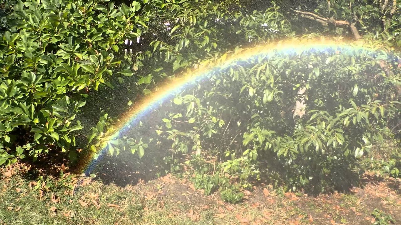 Find YOUR gold under YOUR rainbow in YOUR garden - YouTube