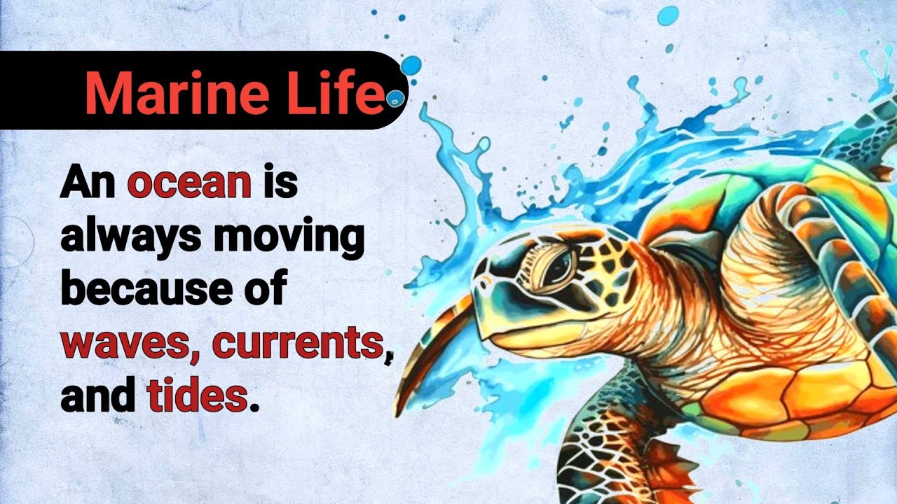 English Story - Marine Life | story in english | British accent - YouTube