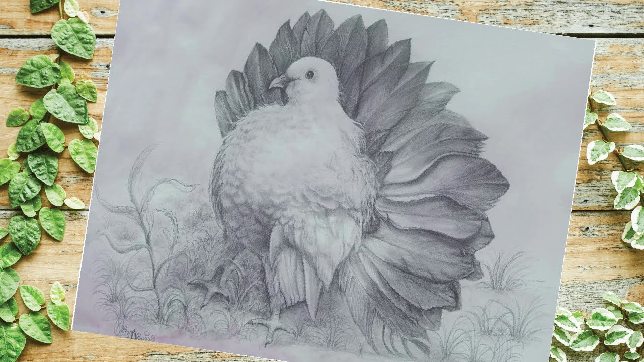 How to draw a Bird Scenery with pencil step by step// Pencil Drawing ...