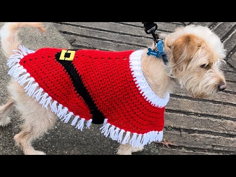 Poncho Para Perrito Tejido A Crochet - YouTube