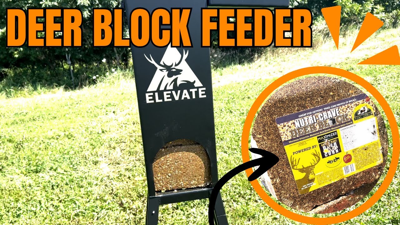 CGTV - Deer Can’t Resist This! Nutri‑Crave Block & Feeder Setup for Big ...
