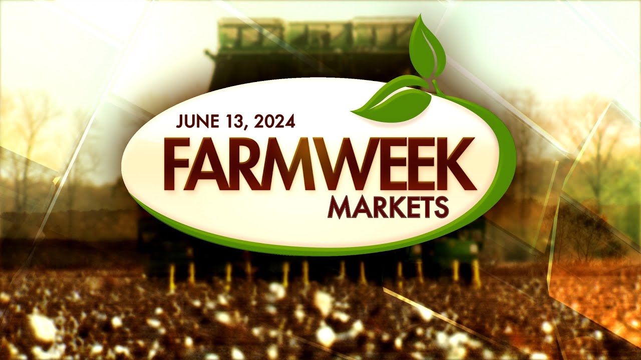Farmweek Markets | June 13, 2024 - YouTube
