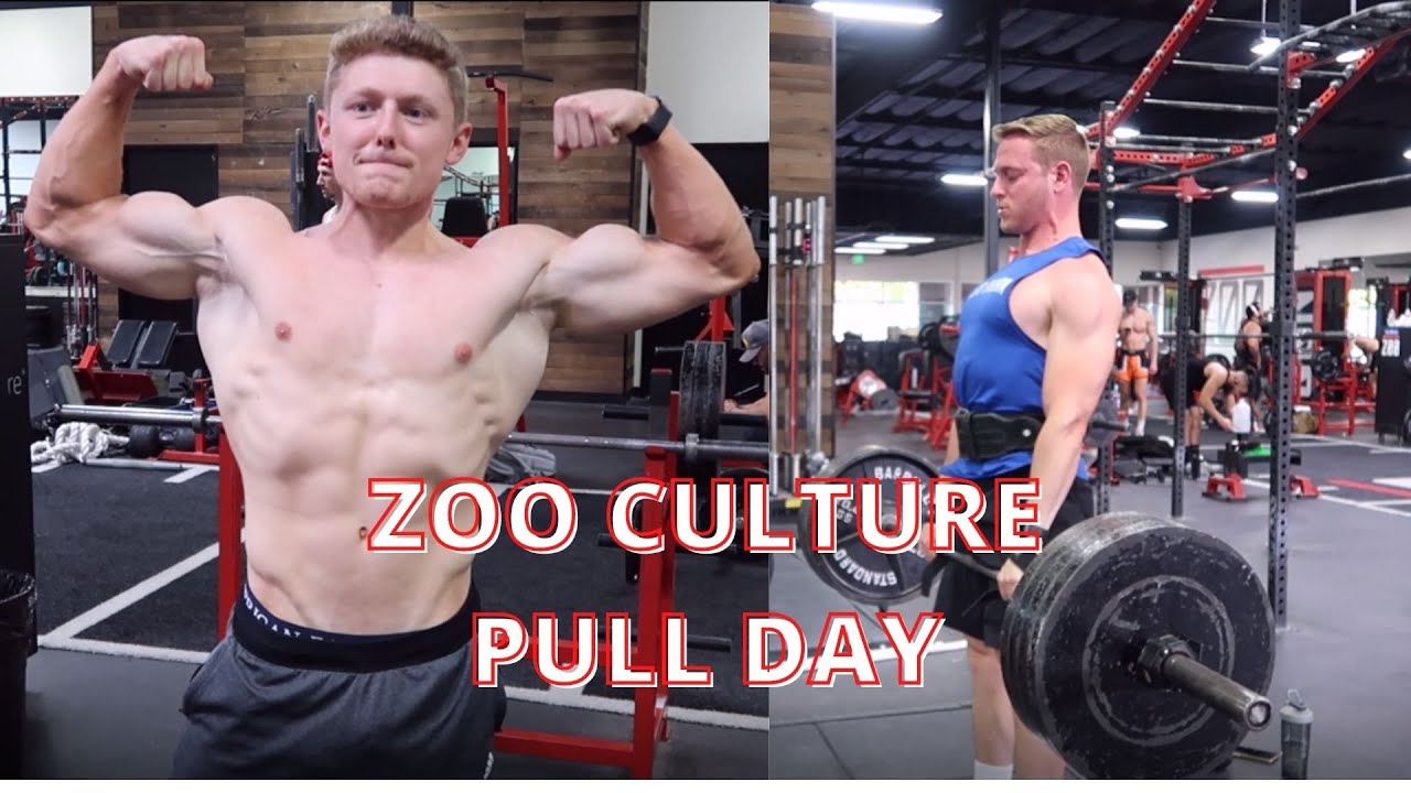 ZOO CULTURE BACK AND BICEPS WORKOUT W/ BEN CHAFFEE! - YouTube