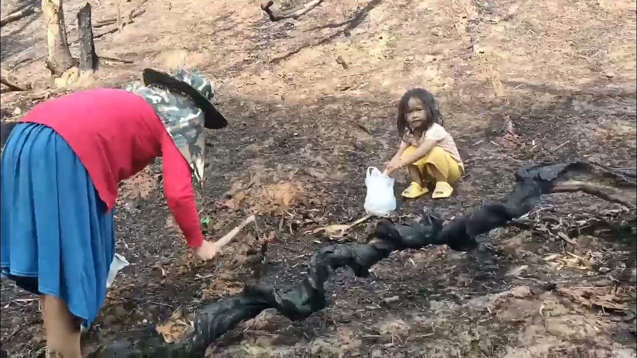 May,25-2023. ntuj los nag lawm ces honey wb cog pob kws. - YouTube