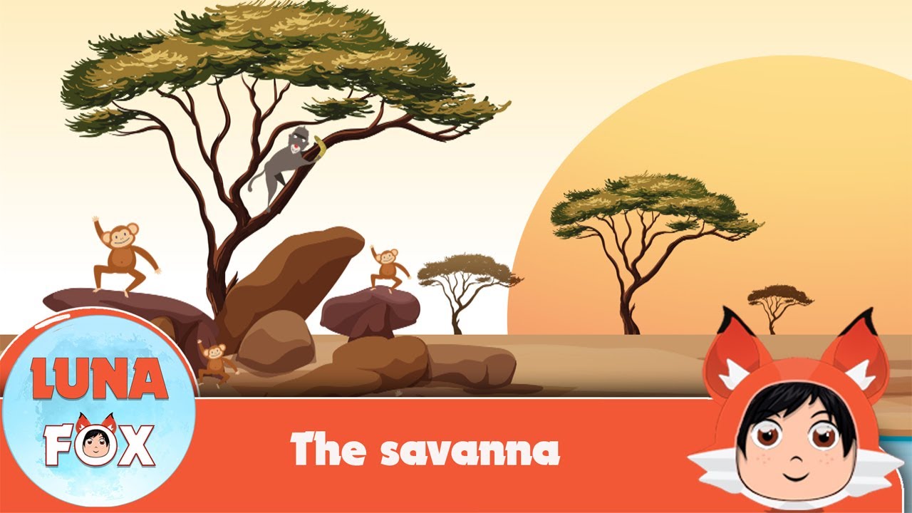Histoires pour enfants -La petite souris et les animaux de la savane ...