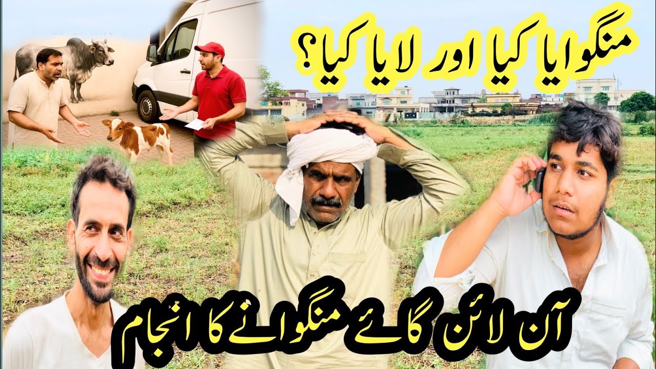 Funny Cow Delivery Gone Wrong! Standup Comedy Video 2025!Hasde Wasde ...