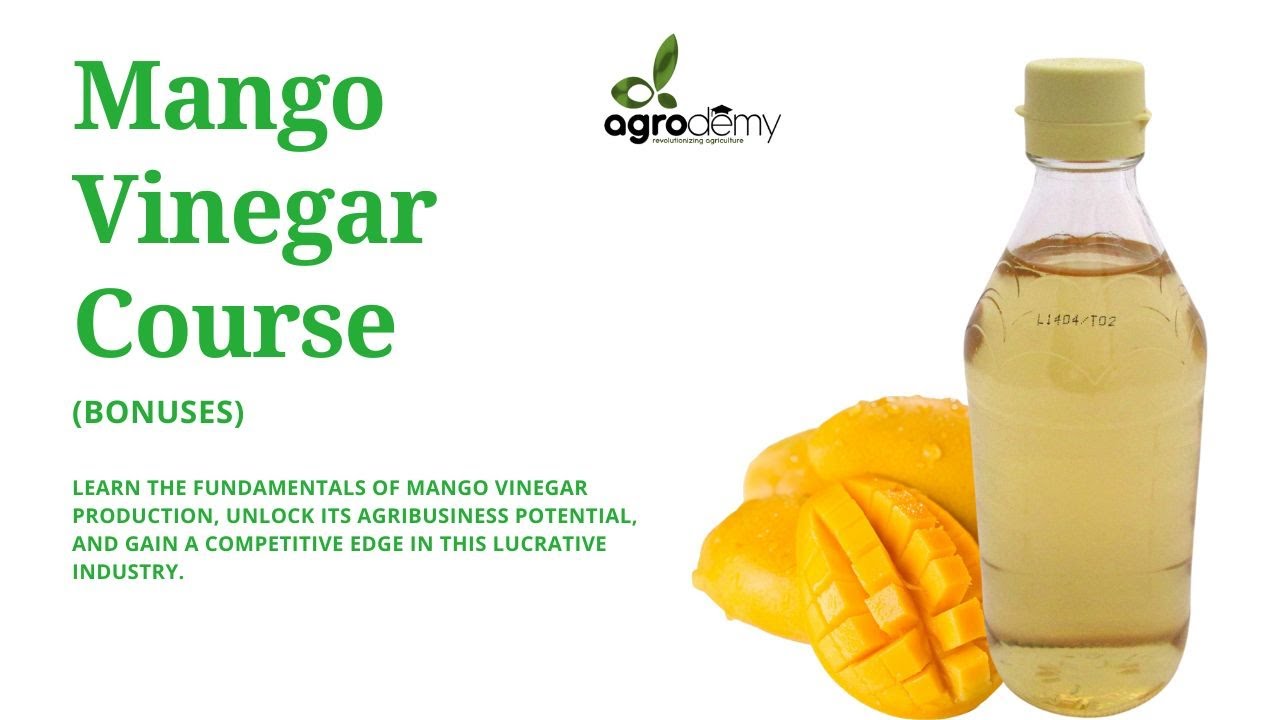 Mango Vinegar | Bonuses - YouTube