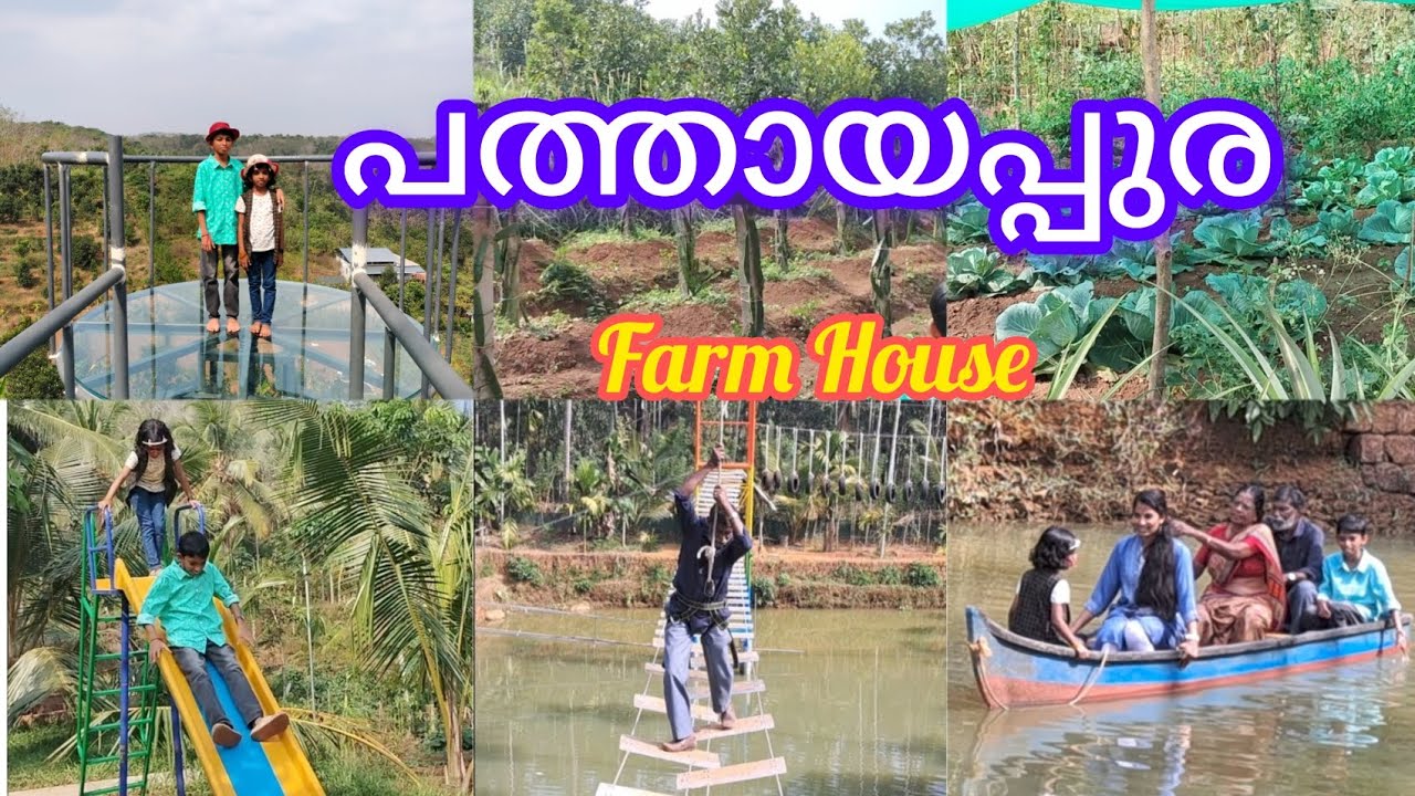 പത്തായപ്പുര ഫാം ഹൗസ് || Pathayappura Farm House Kasaragod - YouTube
