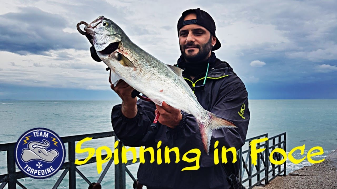 Pesca in Foce - Quali Artificiali scegliere per Serra e Spigole. - YouTube