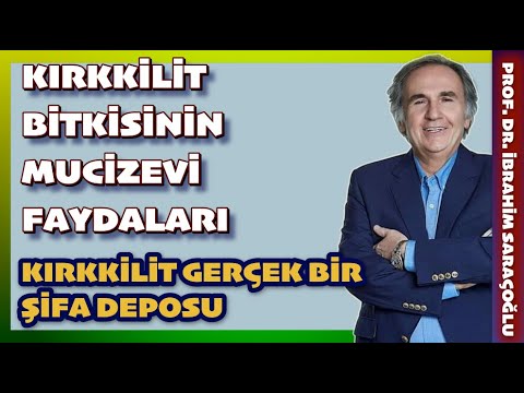 İNANILMAZ FAYDALARI İLE KIRKKİLİT BİTKİSİ #kırkkilit #atkuyruğu #ibrahimsaraçoğlu #