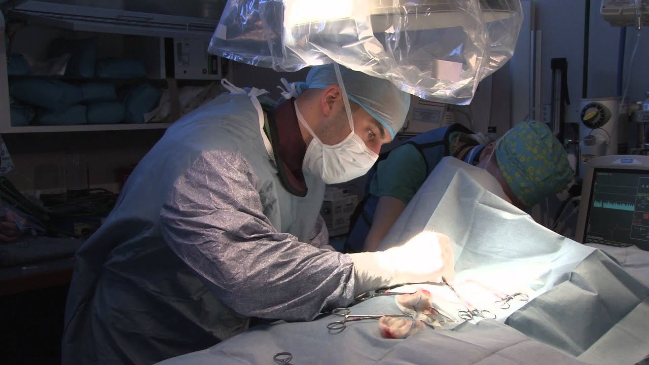 AERA Cardiac Pacemaker Procedure in a Dog - YouTube
