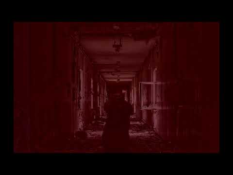 SCP 049-2 8bit TEST