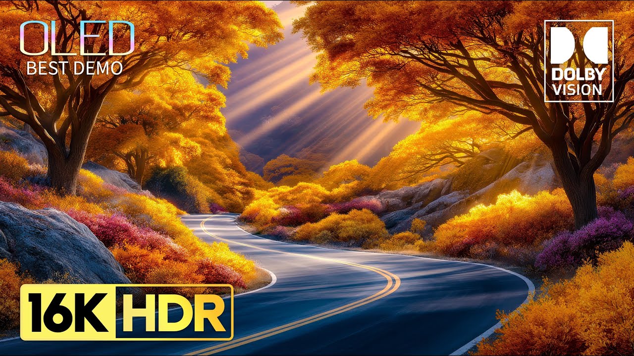 Incredible OLED Demo | 16K HDR 120 FPS | Dolby Vision (16K Video) - YouTube