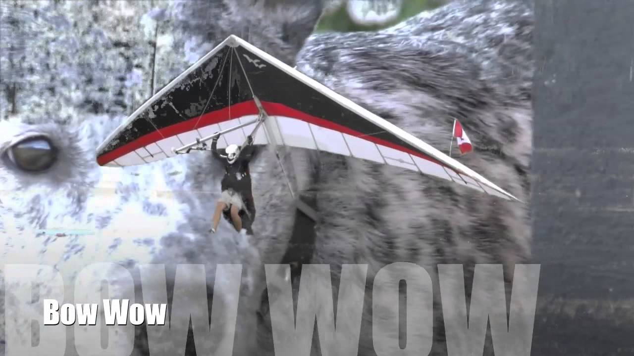 Bow Wow Hang Glider landing - YouTube