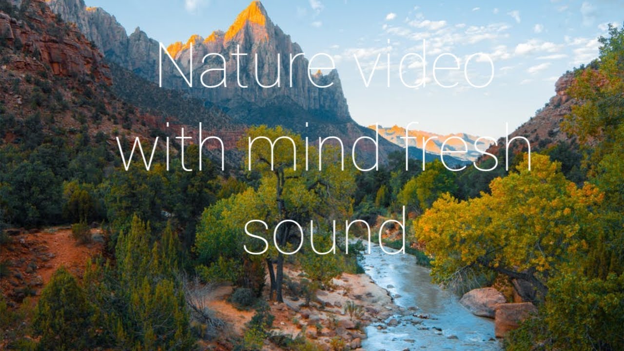 Mind refreshing nature video.Relaxing video - YouTube