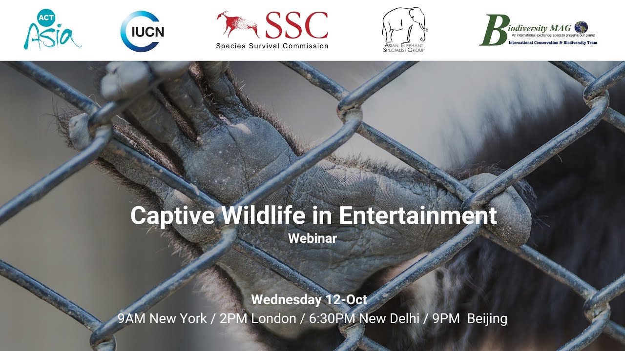 Captive Wildlife in Entertainment - YouTube
