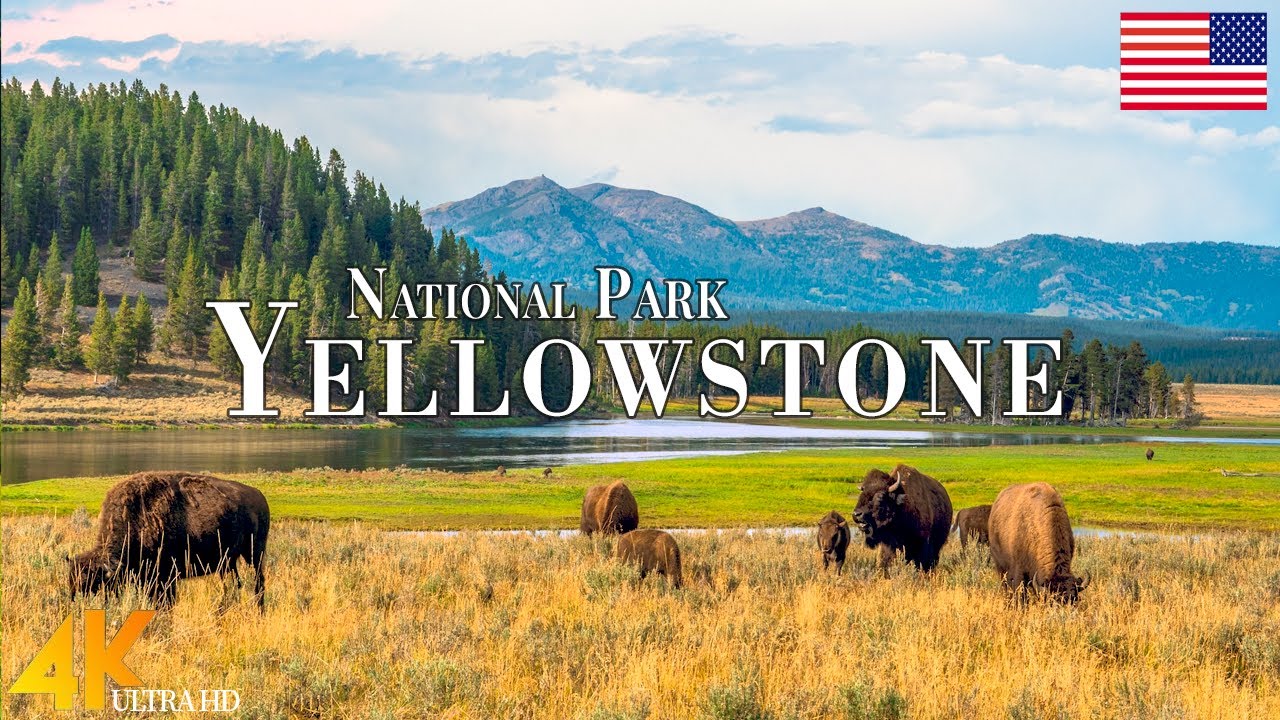 Yellowstone National Park 4K Ultra HD • Stunning Footage, Scenic ...