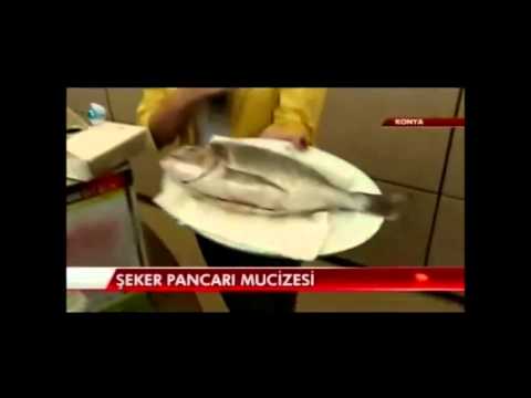 Kanal D Ana Haber Bülteni Konya Şeker